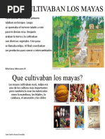 Sistema de Cultivo Roza y Quema | PDF