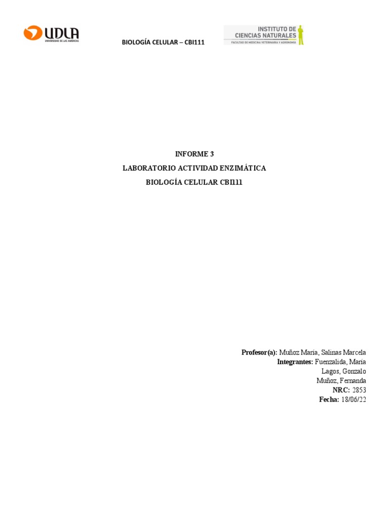 Informe 3 Actidad Enzimatica | PDF | Enzima | Bioquímica