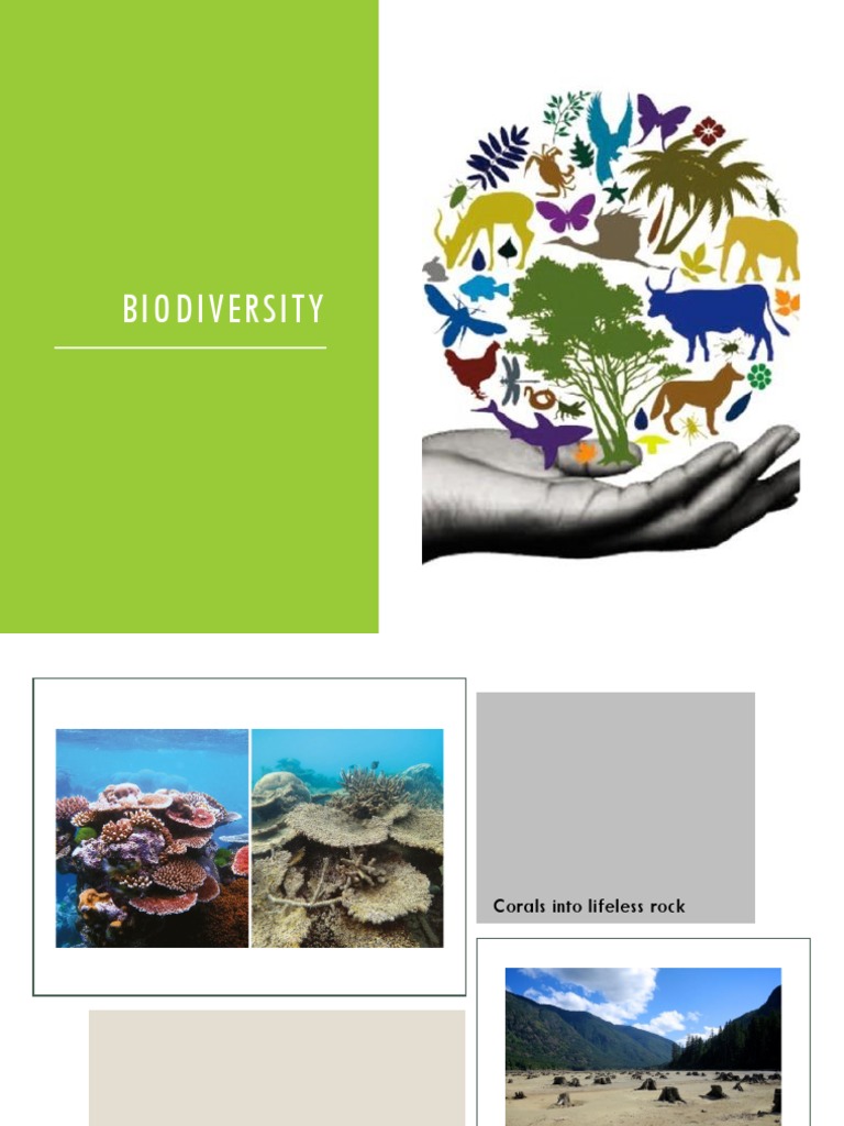 Biodiversity | PDF