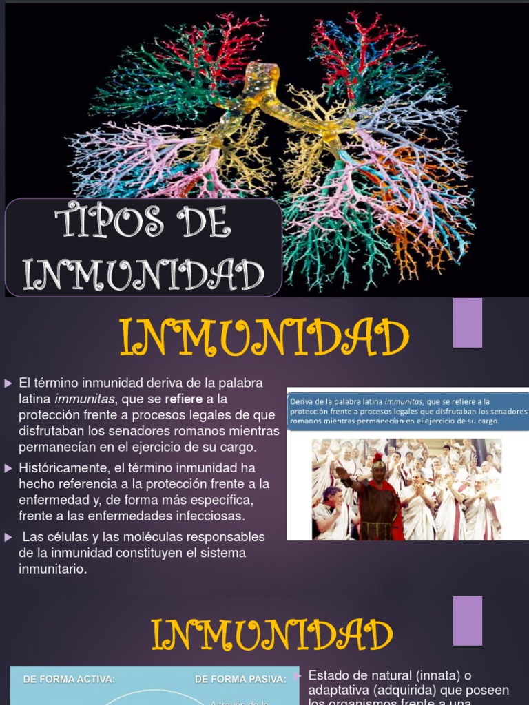 Tipos de Inmunidad: Innata y Adaptativa | PDF | Sistema inmune | Anticuerpo
