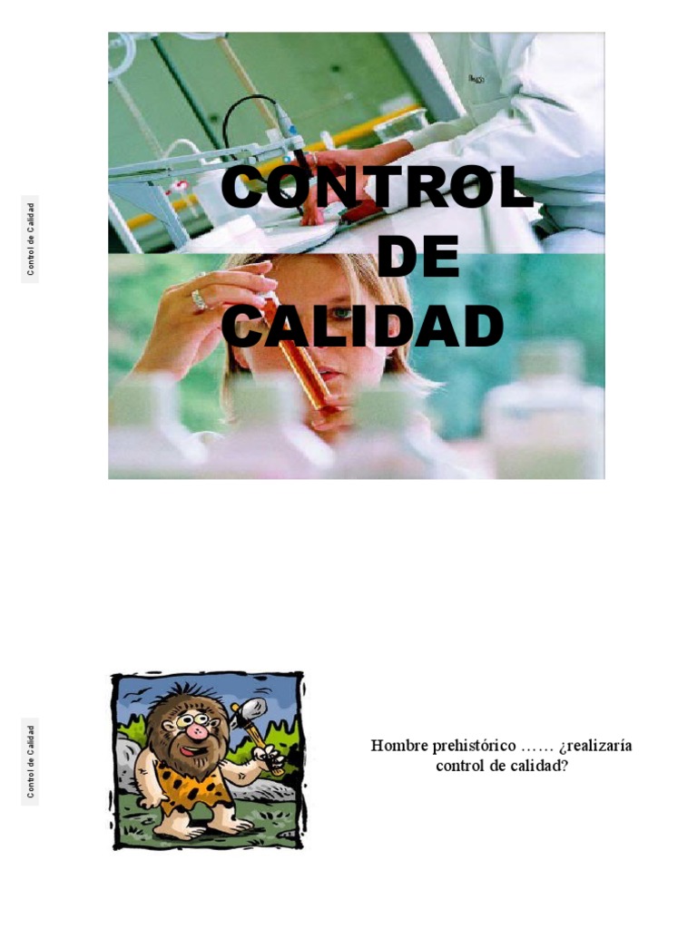 Presentación Control de Calidad | PDF | Calidad (comercial) | champán