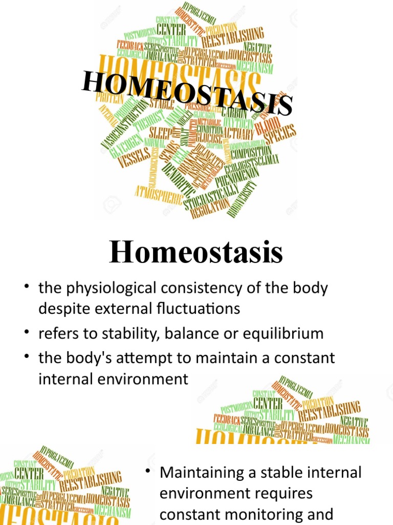 Lesson 1.8 Homeostasis | PDF