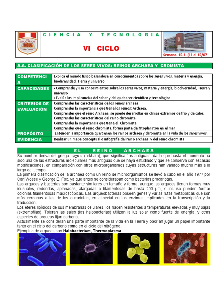Archaea y Chromista: Clasificación y Importancia | PDF | Archaea | Algas