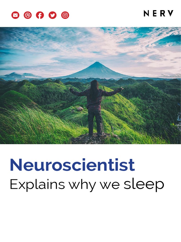 Neuroscientist Explains Why We Sleep | Download Free PDF | Sleep | Memory