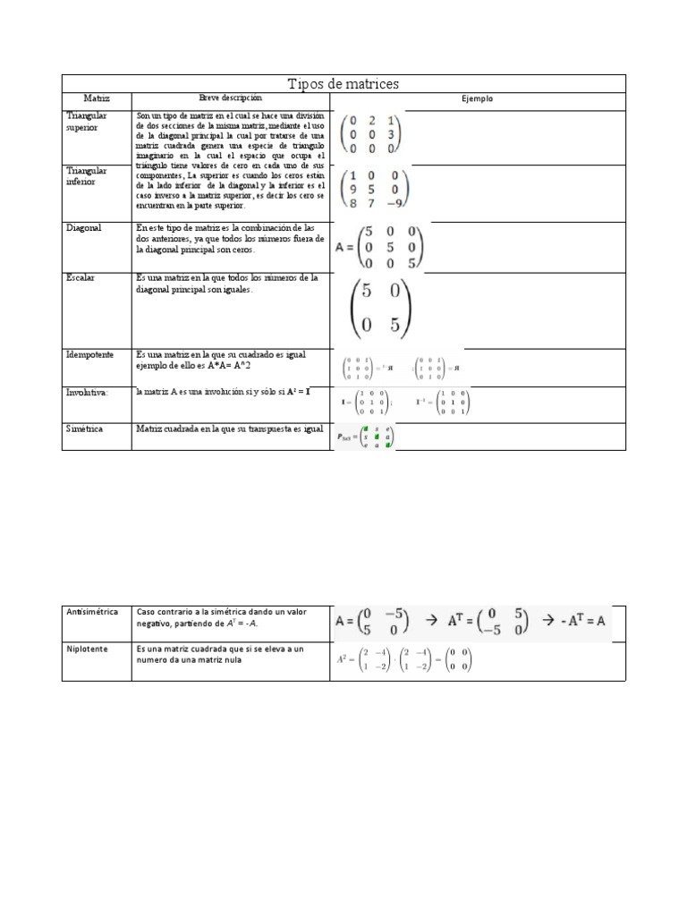 Tipos de Matrices | PDF