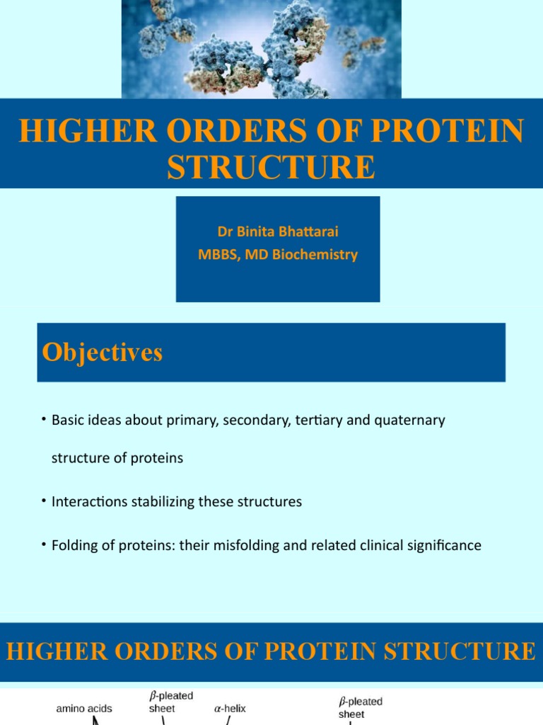 Understanding Protein Structure Levels | PDF | Protein Structure | Alpha Helix