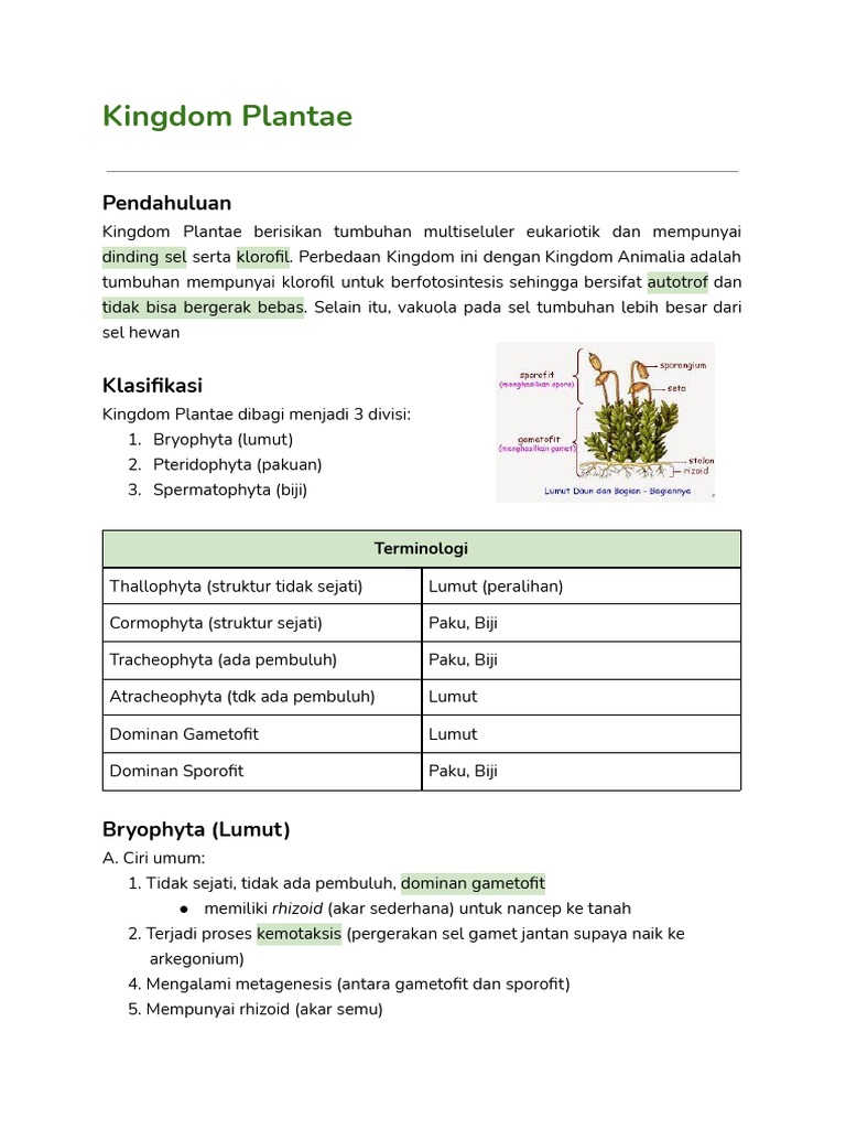 Kingdom Plantae | PDF