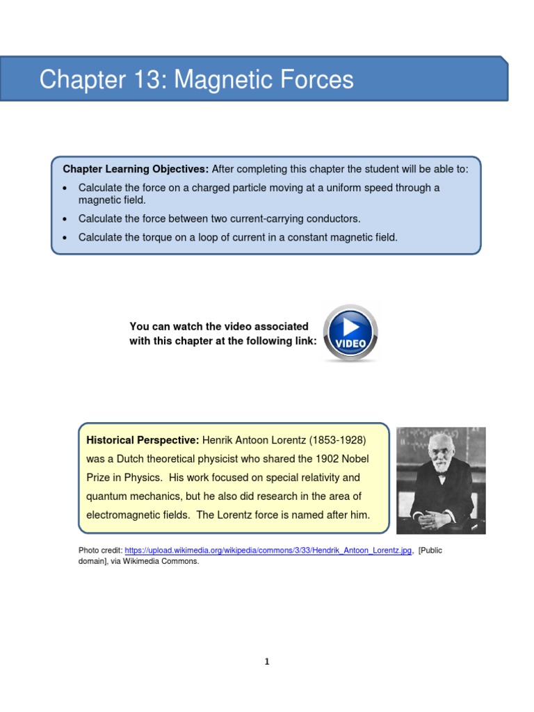13 Magnetic Forces | Download Free PDF | Magnetic Field | Force