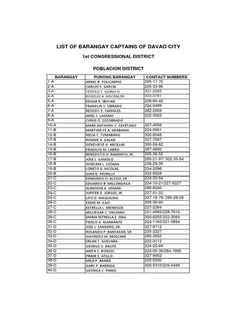 Davao City Barangay Captains List | PDF