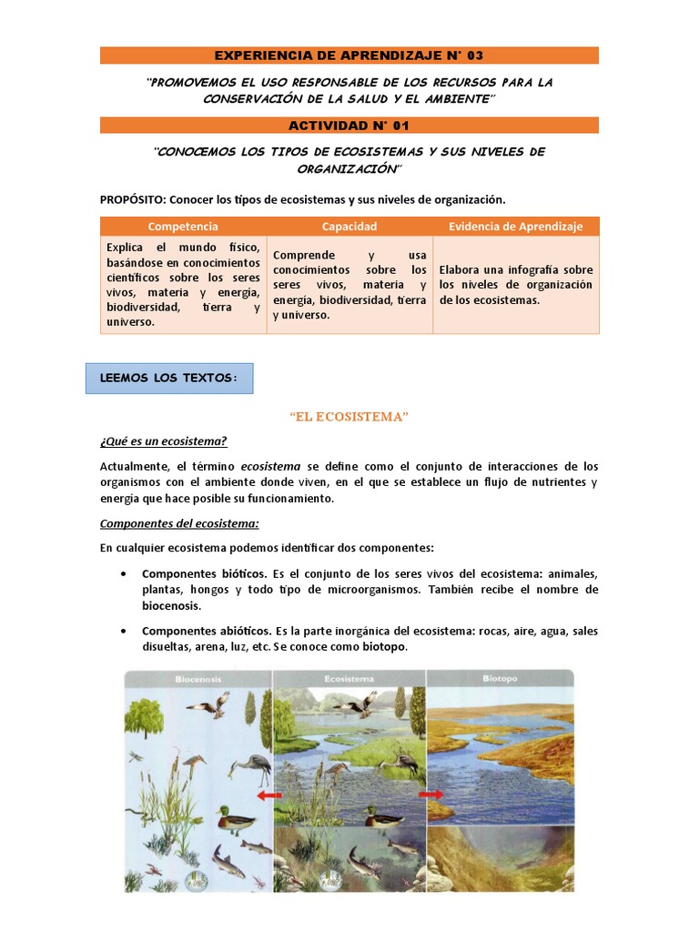 Conocemos Los Tipos de Ecosistemas y Sus Niveles de Organización | PDF | Ecosistema | Entorno ...