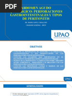 Protocolo Blue | PDF | Enfermedades y trastornos | Neumología