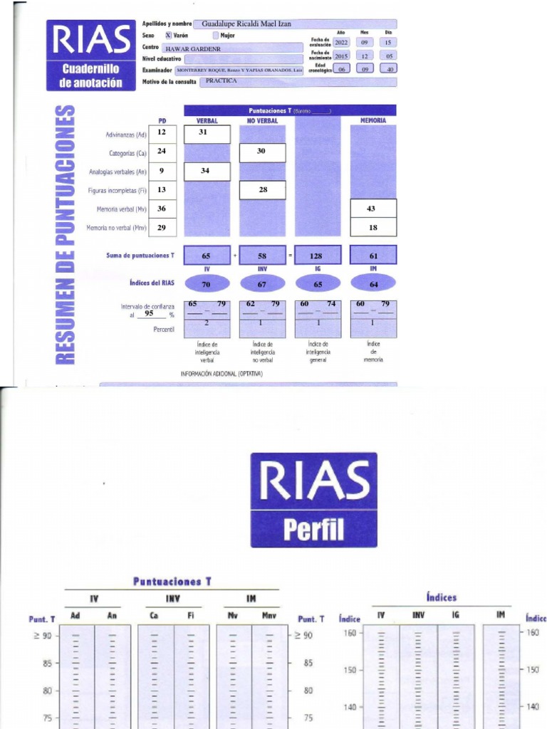 Cuadernillo de Anotación RIAS | PDF