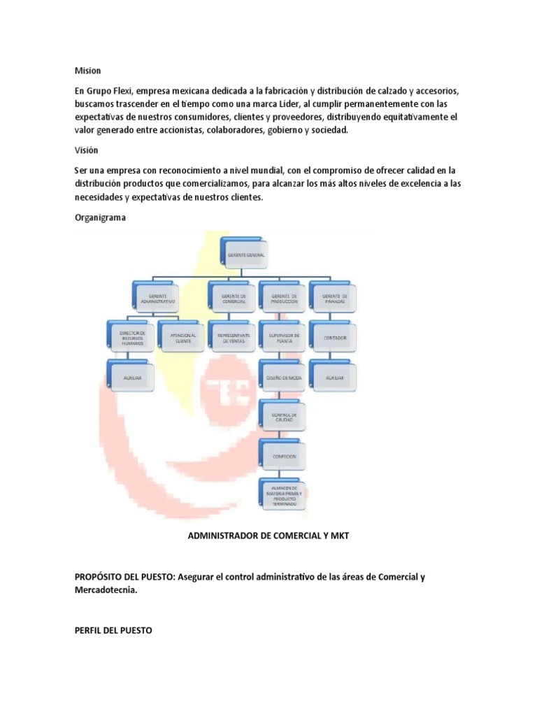 Flexi | PDF | Marketing | Calidad (comercial)