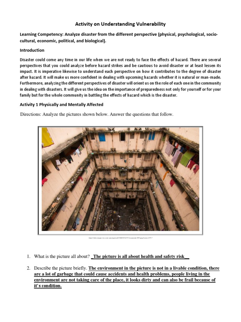Analyzing Disaster Vulnerability Perspectives | PDF | Hazards | Mind