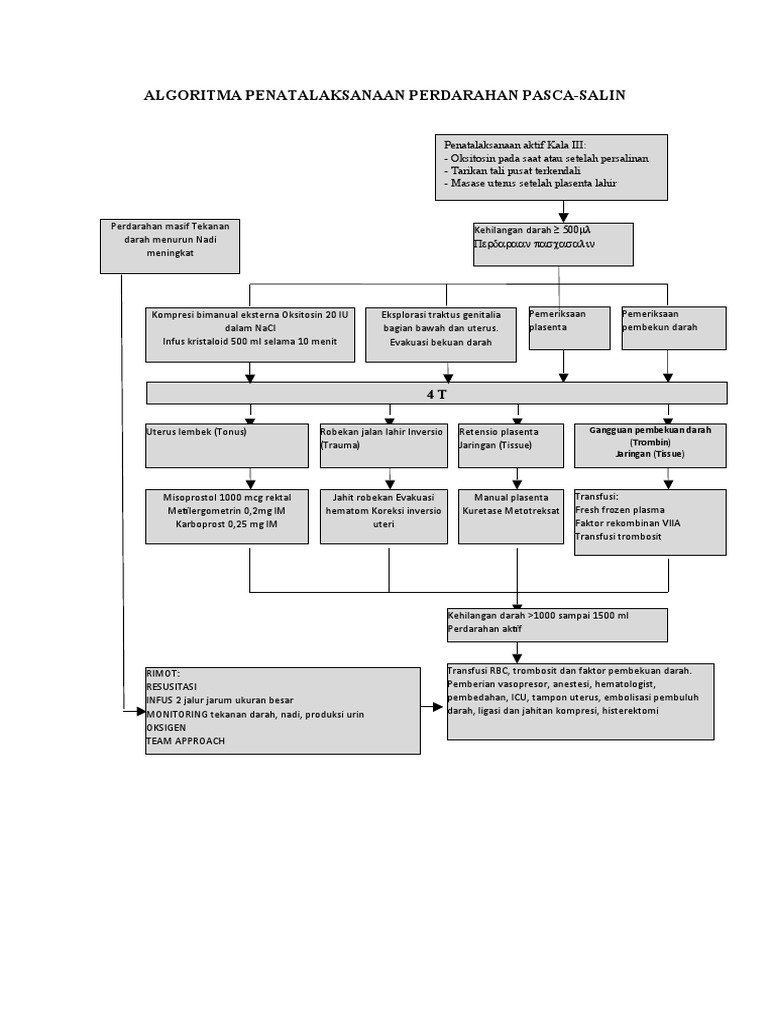 Algoritma Perdarahan Pasca Salin | PDF