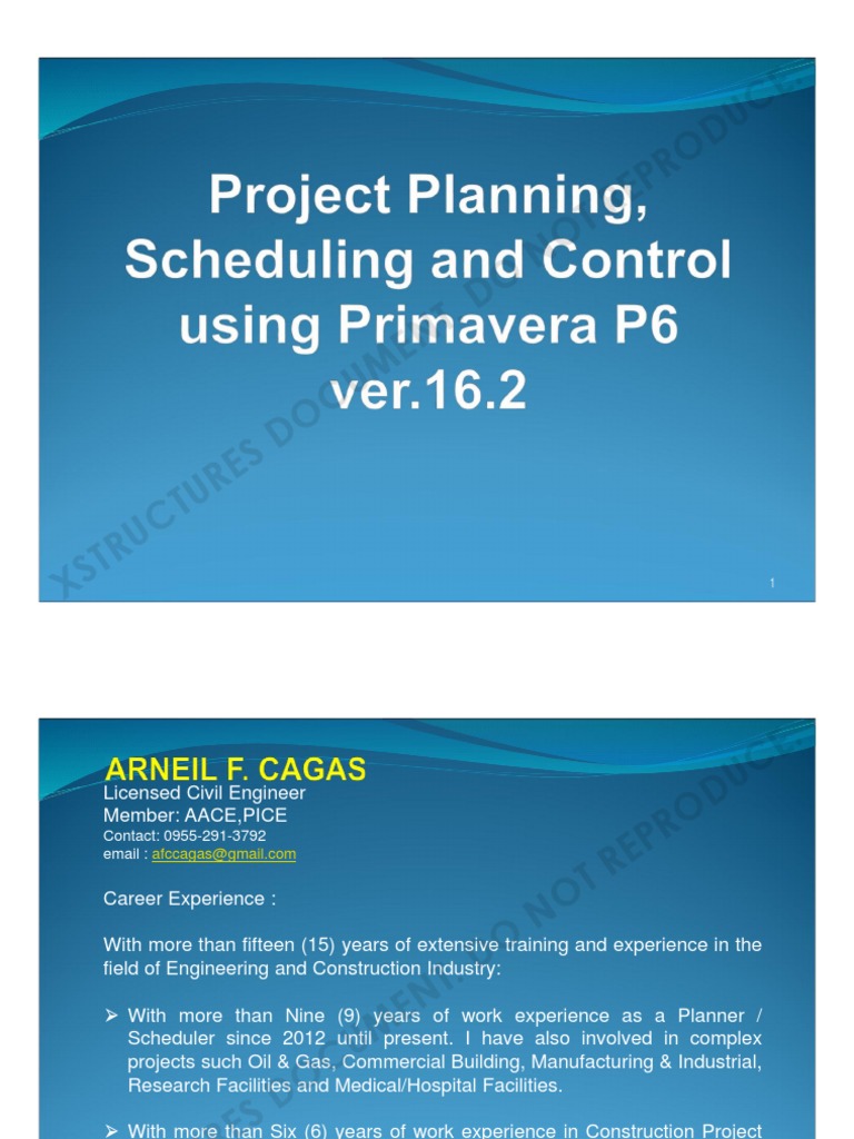 Primavera P6 Manual Edited | PDF | Icon (Computing) | Window (Computing)
