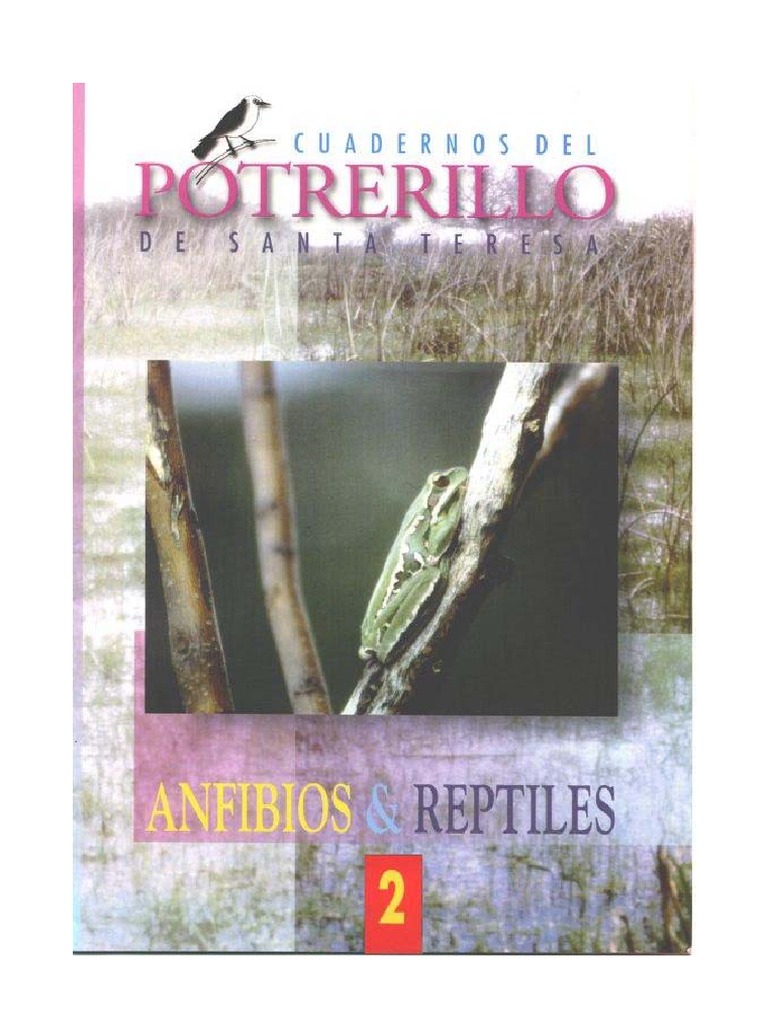 Anfibios y Reptiles - Cuadernos Del Potrerillo de Santa Teresa Forni ...