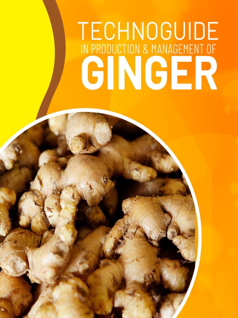 Da Car Technoguide in Production - Management of Ginger | PDF | Ginger ...