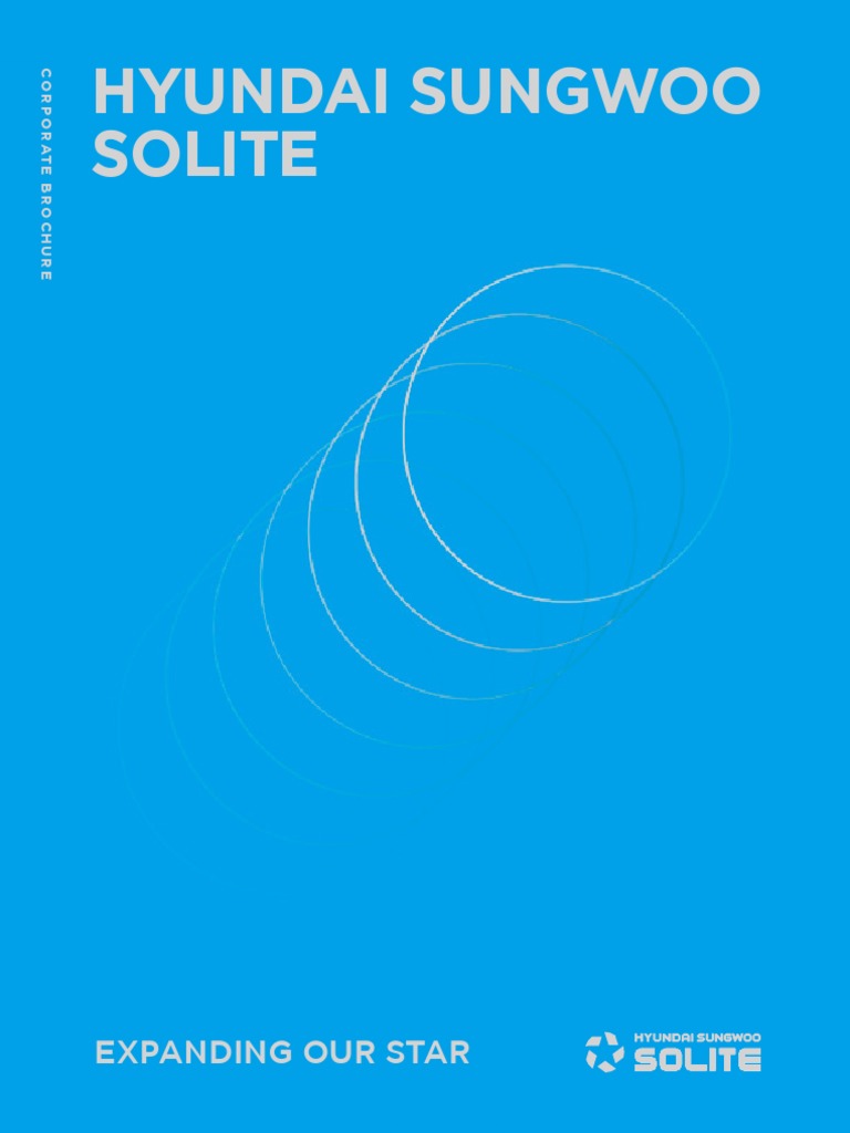 Hyundai Sungwoo Solite Overview | PDF | Automotive Industry | Innovation