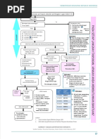 Daftar Tilik Dan Bagan Alur Resusitasi BBL | PDF