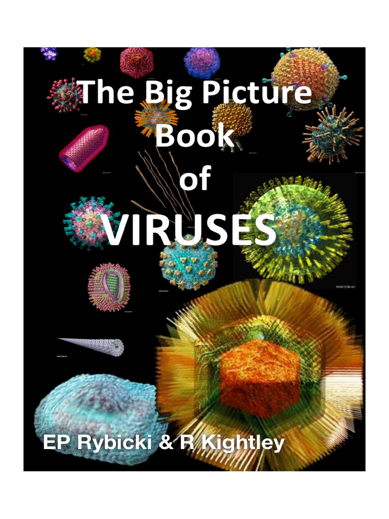 Overview of Virus Classification | PDF | Retrovirus | Virus