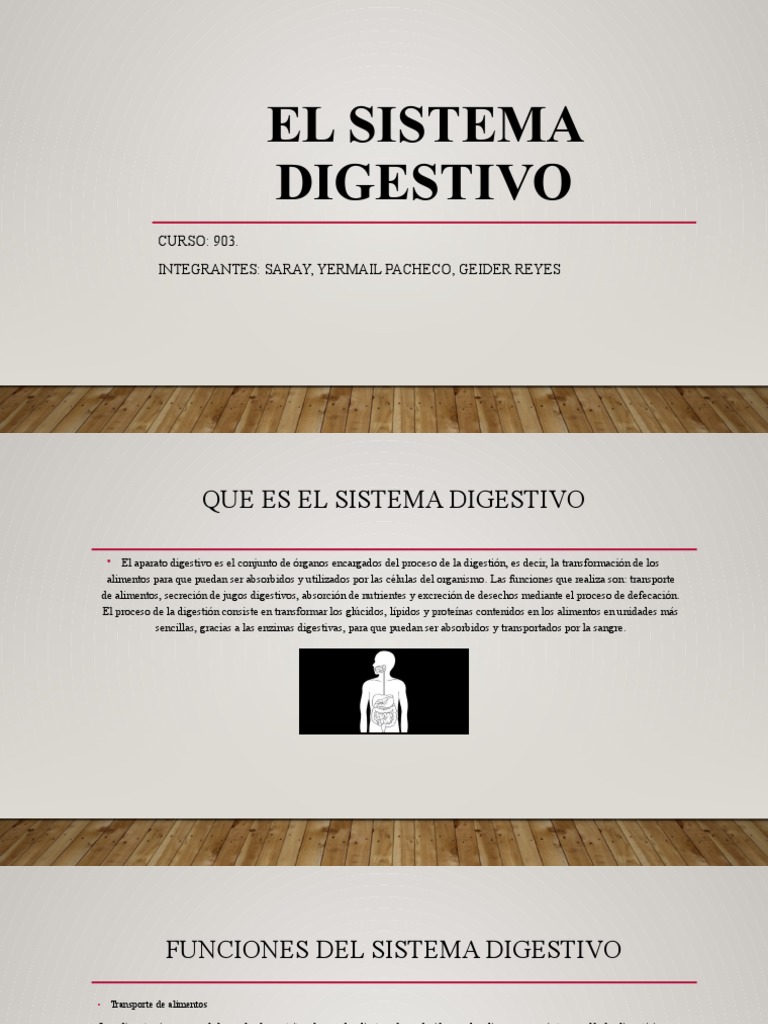 Presentación | PDF | Sistema digestivo humano | Digestión