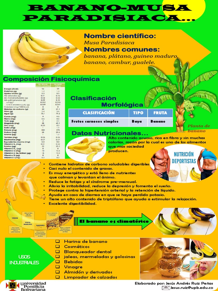 Infografia Banano | PDF