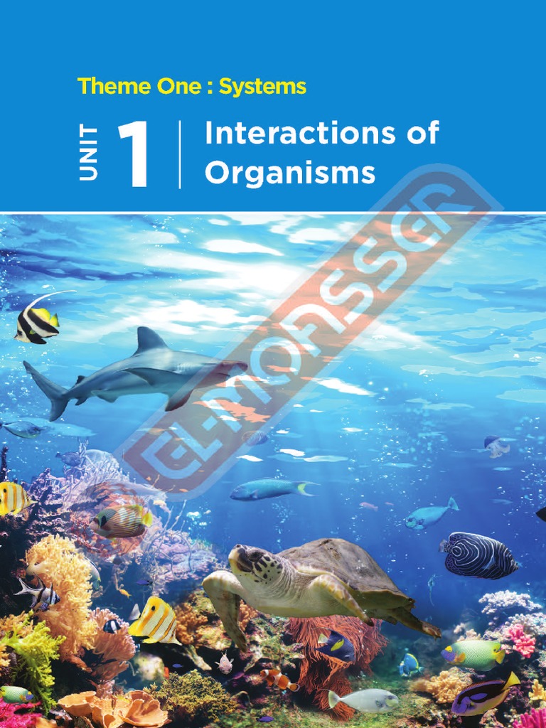 Science 5 Prim Concept 1 1 | PDF