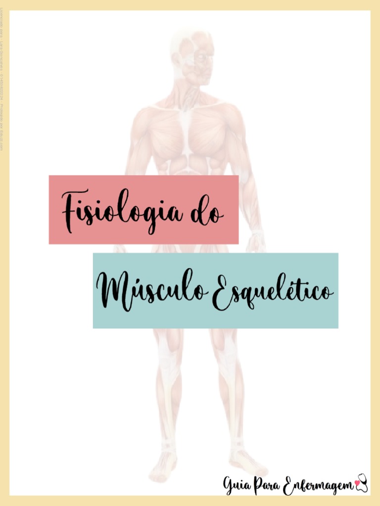 Musculo Esqueletico Pdf Músculo Esquelético Anatomia