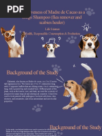 ACNS Standardized Critical Care EEG Examples 2021 | PDF ...