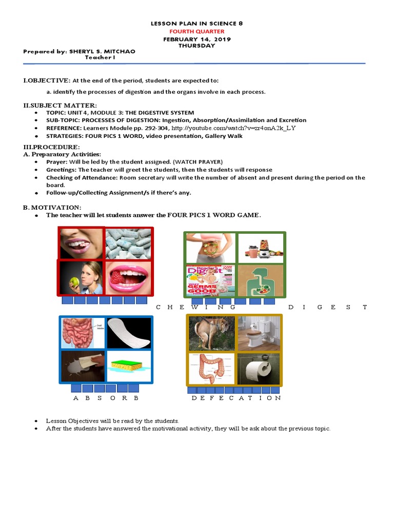 Science 8 Lesson Plan: Digestive System | PDF | Digestion | Small Intestine