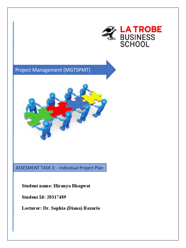 Individual Project Plan | PDF | Risk | Project Management
