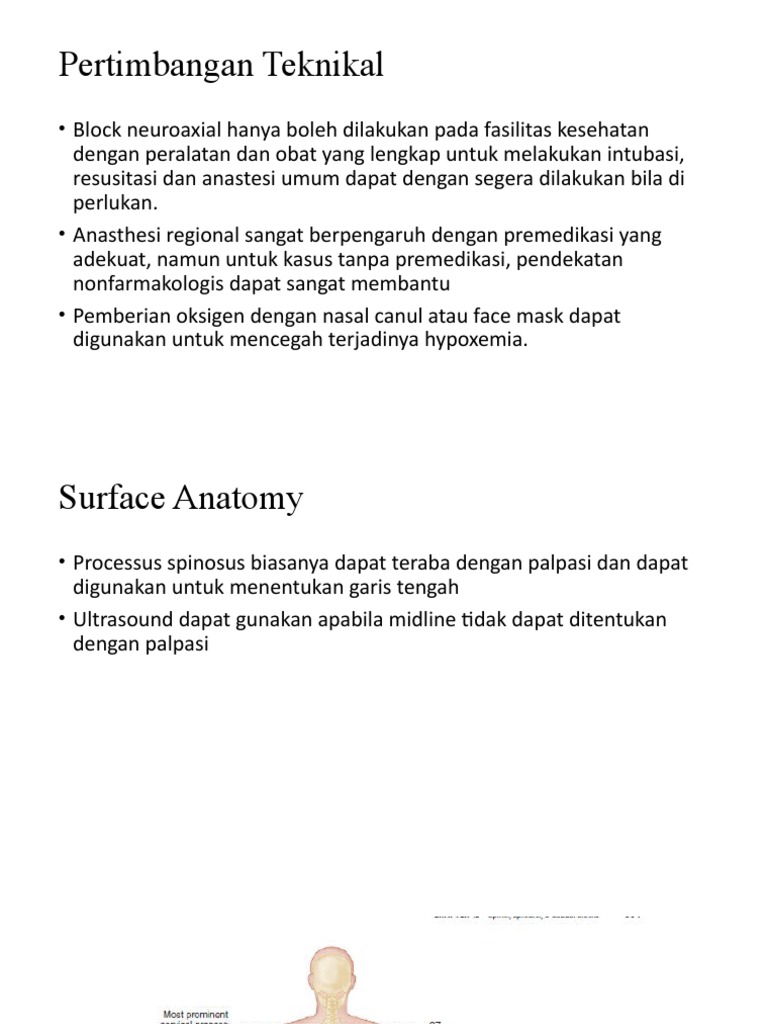 Technical Considerations | PDF