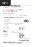 Pigeon Genetics: Answer Key | PDF | Dominance (Genetics) | Genotype