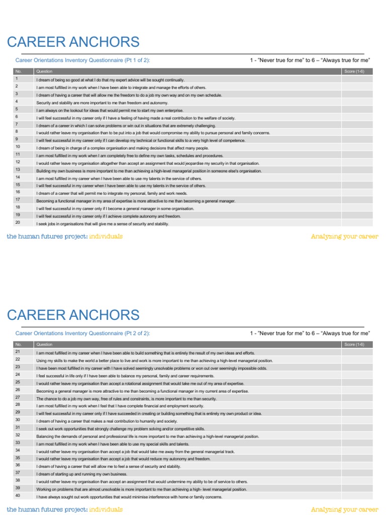 Career Anchors Inventory Questions | PDF | Autonomy | Creativity