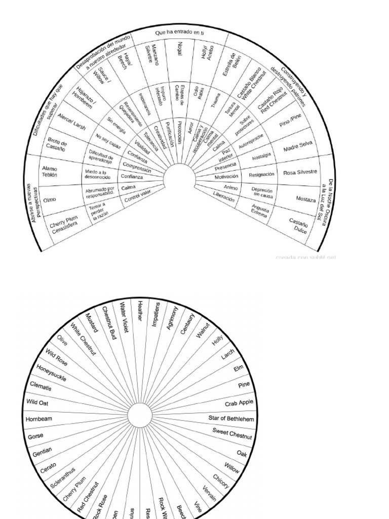 Varias Tablas de Radiestesia | PDF