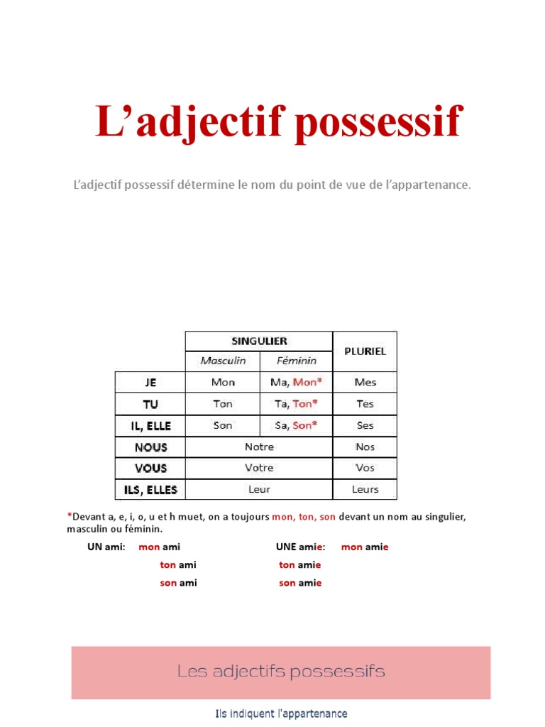 L'adjectif Possessif | PDF