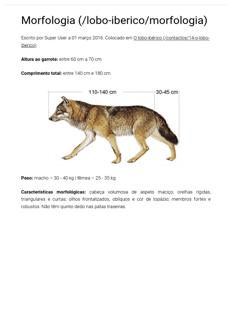 Grupo Lobo - O Lobo-ibérico | PDF