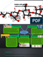 Identificación de Almidón con Lugol | PDF | Almidón | Química