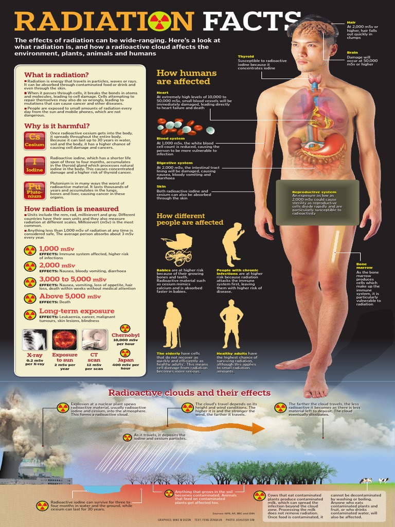Radiation_from_Nuclear_Fallout.pdf | PDF | Ionizing Radiation | Nuclear ...