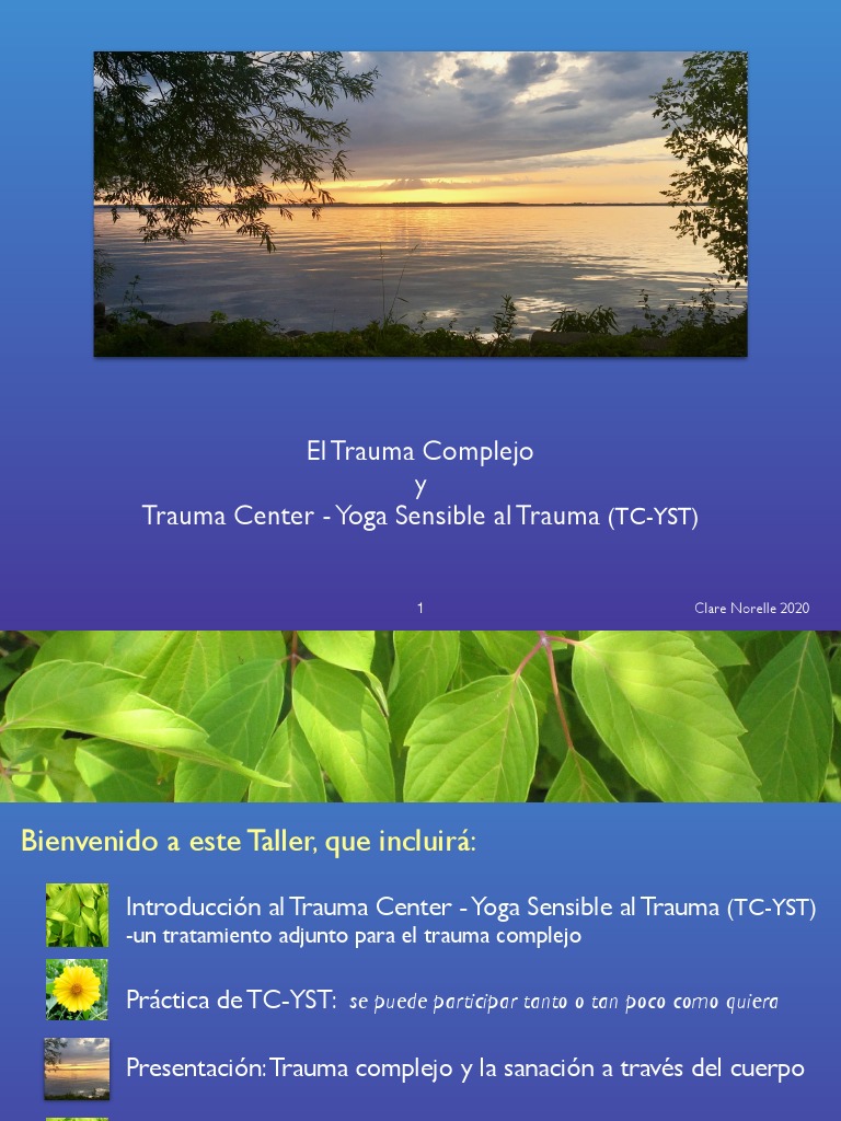 El Trauma Complejo y La Sanacion en Le Cuerpo 2020 | PDF | Trauma ...