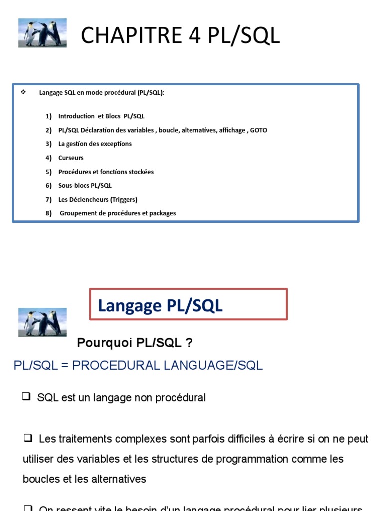 Introduction au Langage PL/SQL | PDF | PL/SQL | SQL