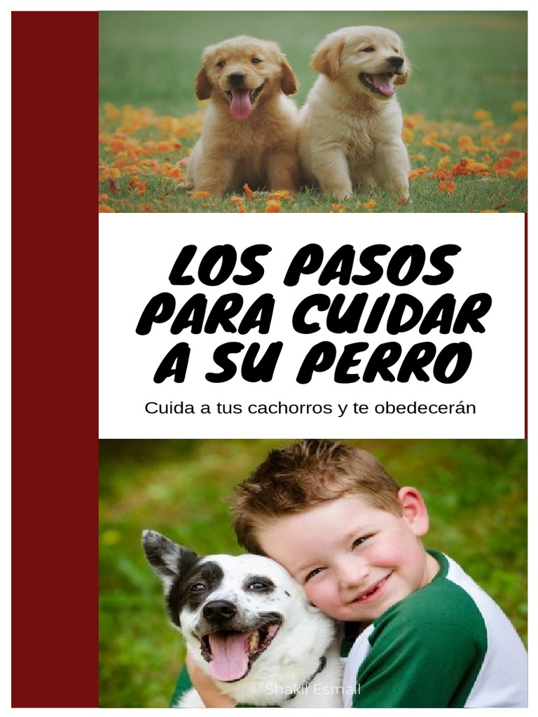 Los Pasos para Cuidar A Su Perro | PDF | Alimentos | Comida de perro