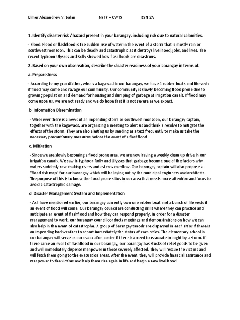 CWTS - Activity 3-3 - Elmer | PDF | Flood | Emergency Management