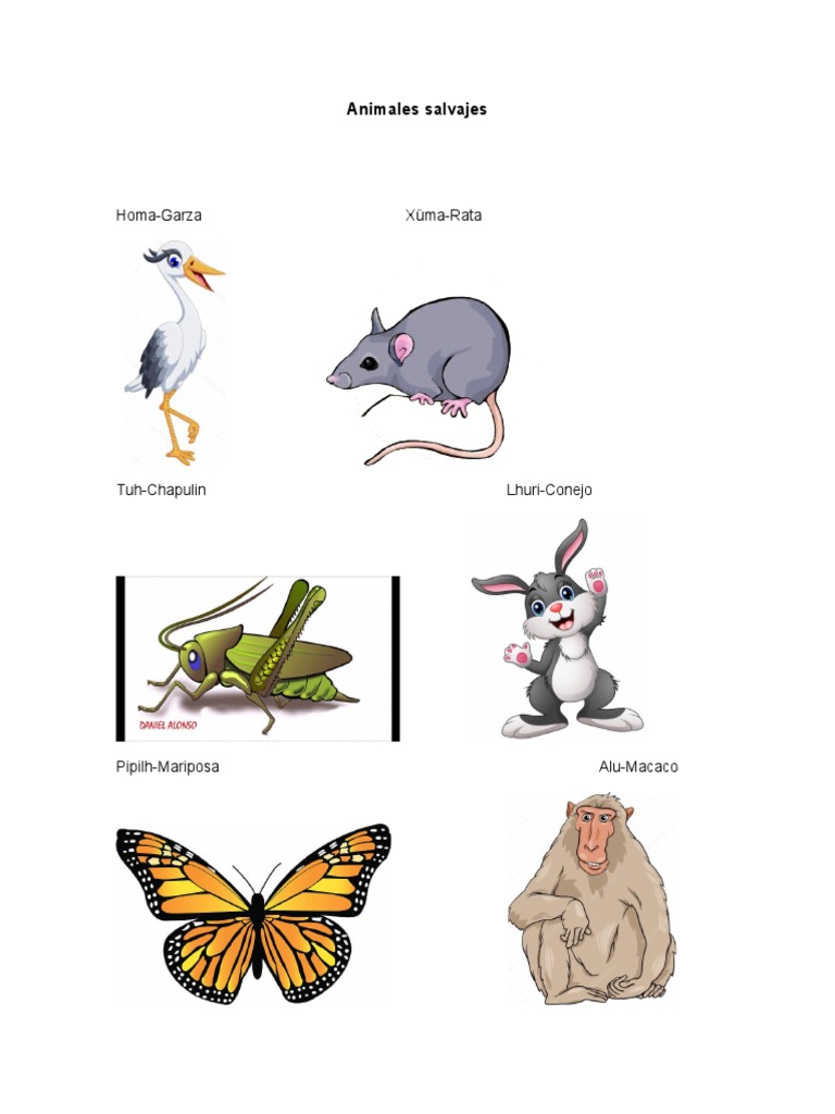 Animales salvajes y domesticos en xinca | PDF
