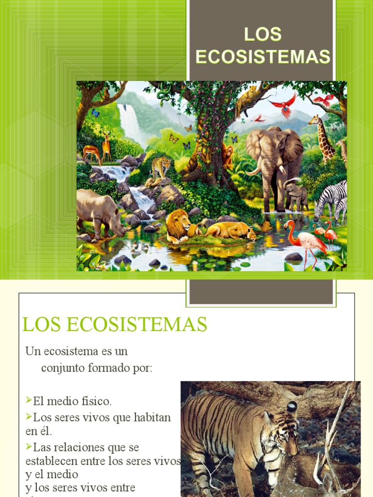 Los Ecosistemas 4 | Descargar gratis PDF | Ecosistema | Ciencias de la Tierra