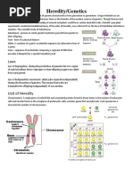 Answer Key - Genetic Packet | PDF | Dominance (Genetics) | Genotype