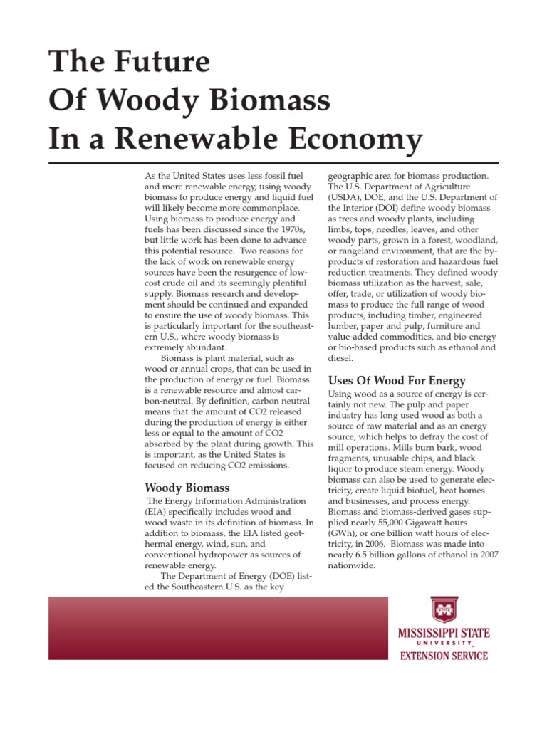 Future of Woody Biomass | PDF | Biofuel | Biomass