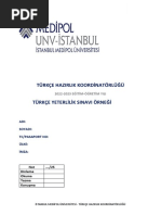 Turkish A1 Complete Exam | PDF