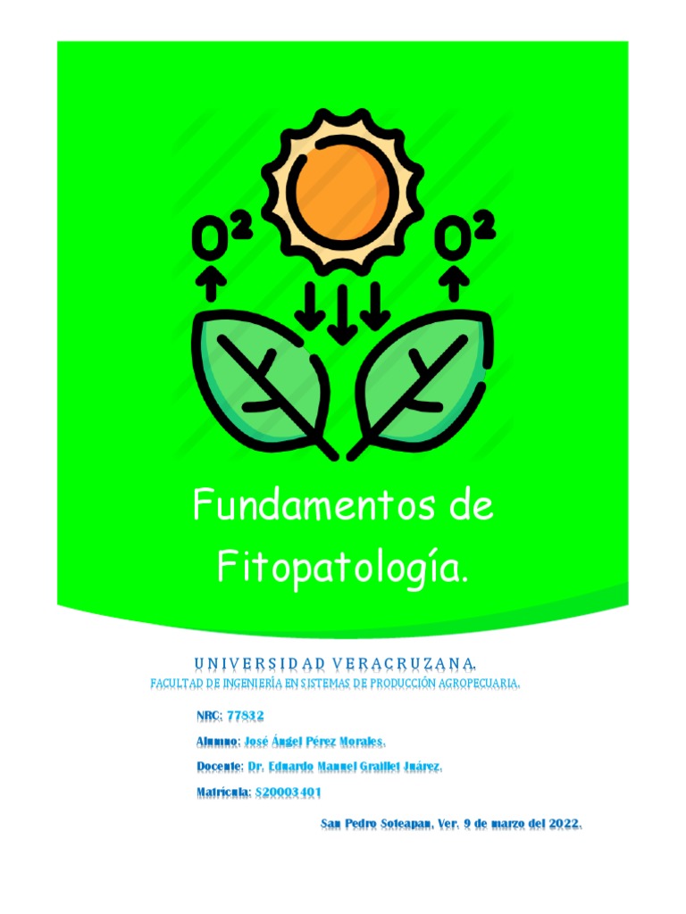 Act02 Fitopatología PérezMorales | PDF | Hongo | Hoja